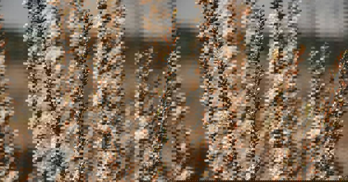 Overtuigen: tips en technieken voor overtuigende communicatie | de Baak